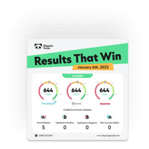 Dispute Panda Pro | Unlimited Possibilities